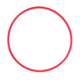 Olympus o-ring for PT-E02/E-01 type A [POL-E01A]