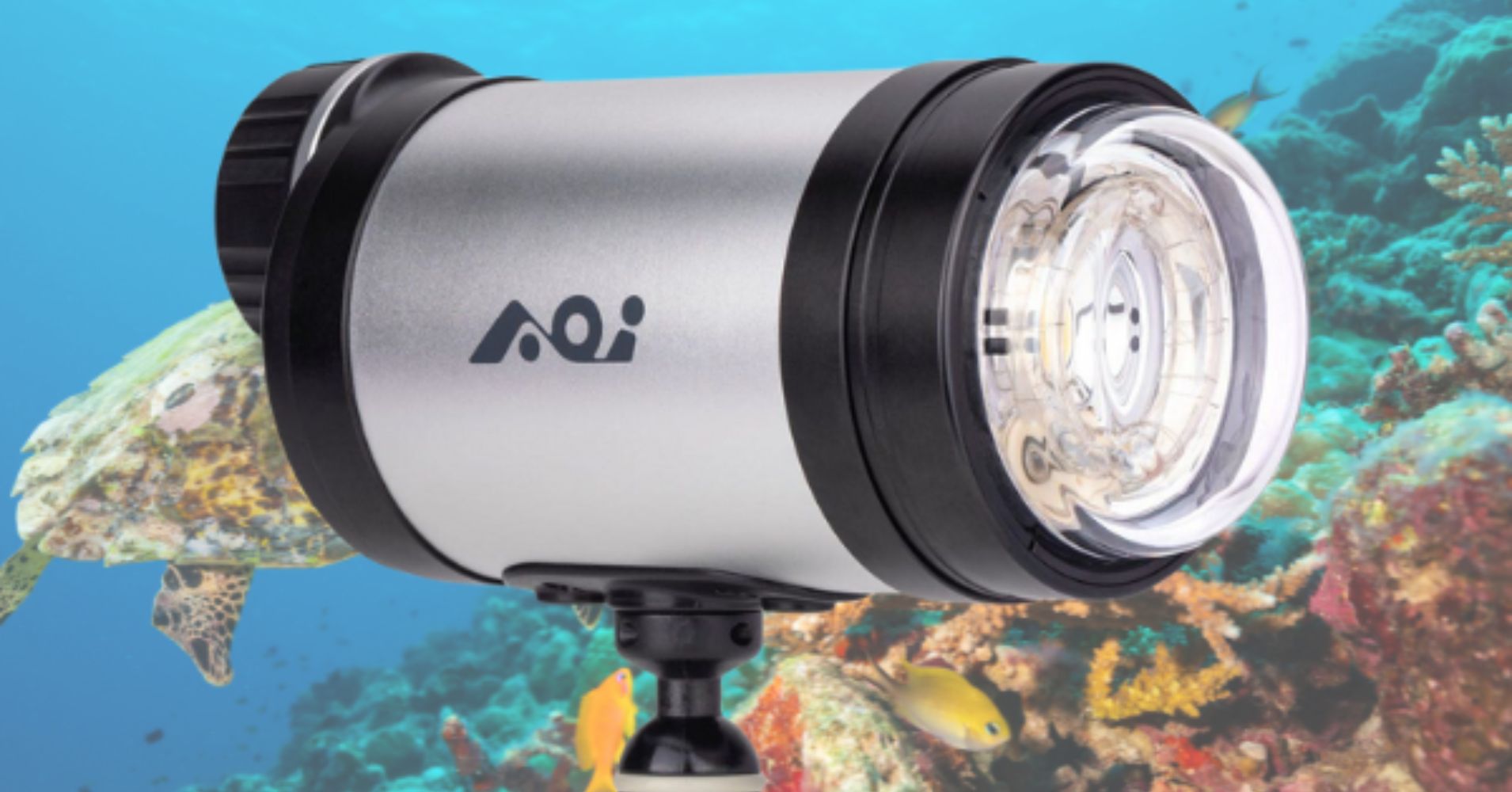 AOI UIS-P1 Strobe: Ultimate Underwater Photography Tool for ...