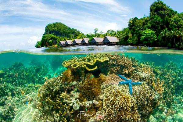 Tips and trics for shooting exciting split scenes (under)waterphotography