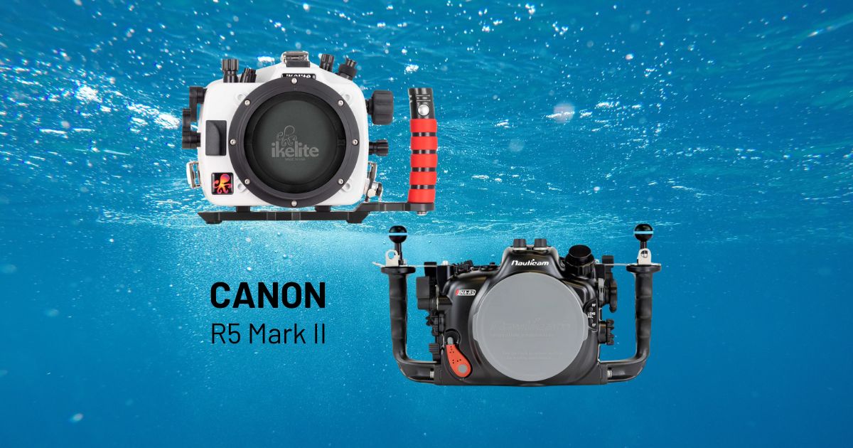 Nauticam and Ikelite underwater housing for Canon EOS R5 II
