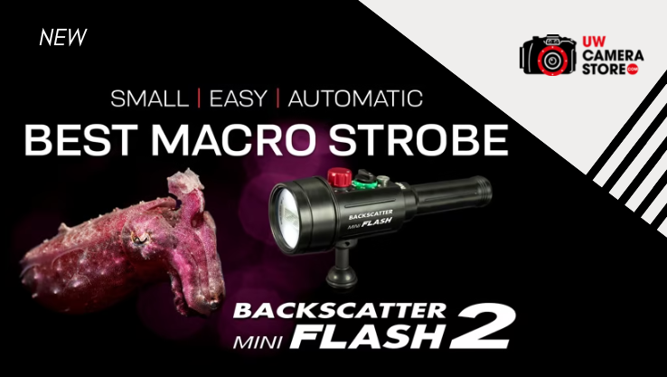 UW Camera Store - Europe's number 1 underwater camera store